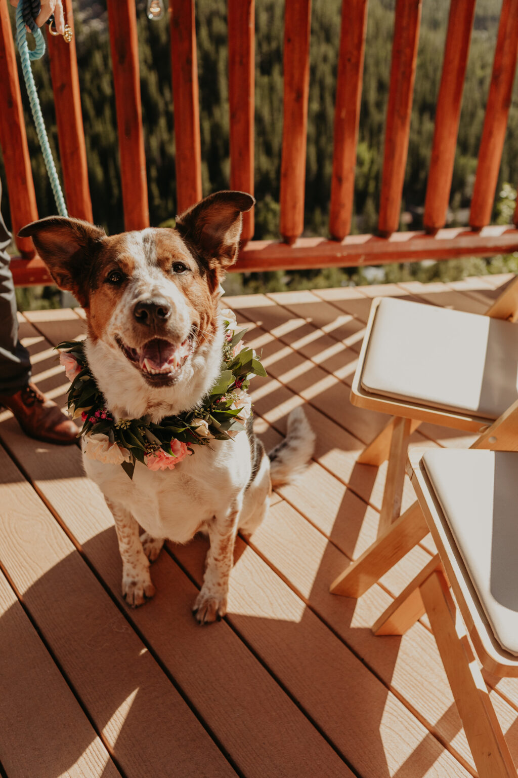 Sophie + Scott {The Lodge at Breck, Breckenridge} | petalandbean.com