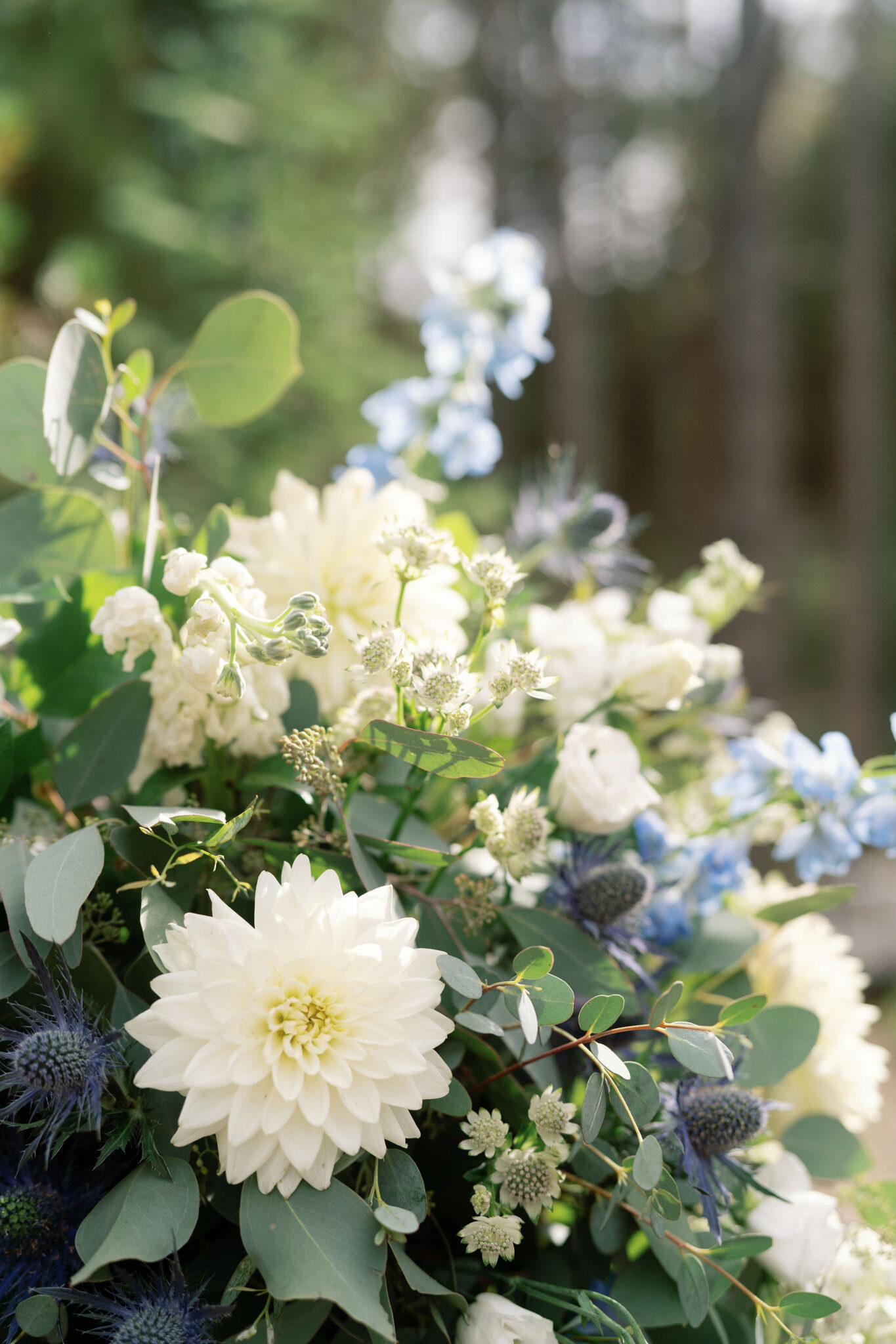 Anna + Garrison {Private Home, Breckenridge} | petalandbean.com