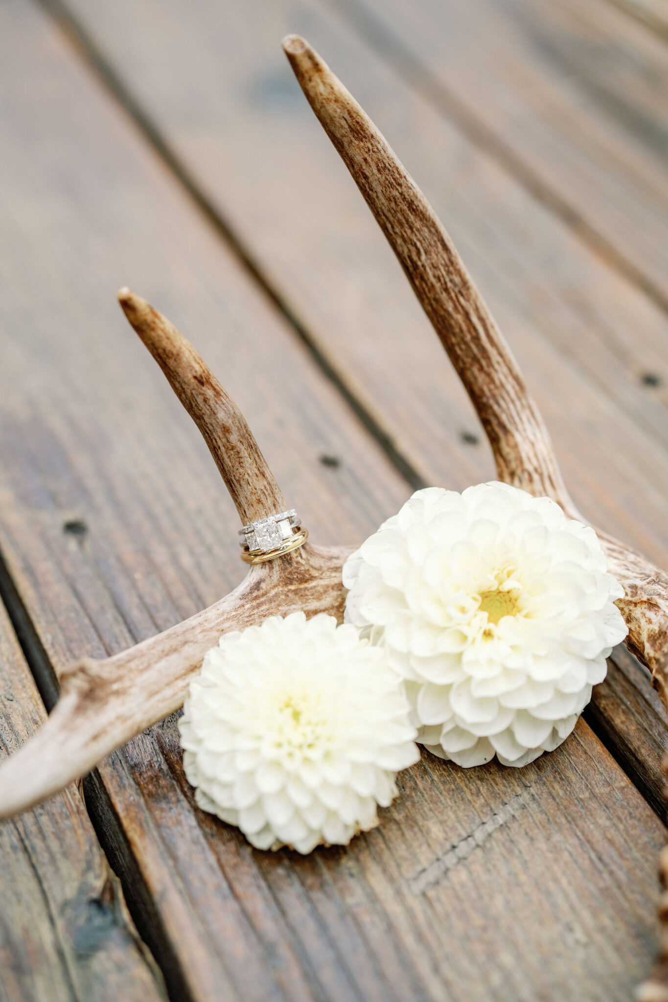 Anna + Garrison {Private Home, Breckenridge} | petalandbean.com